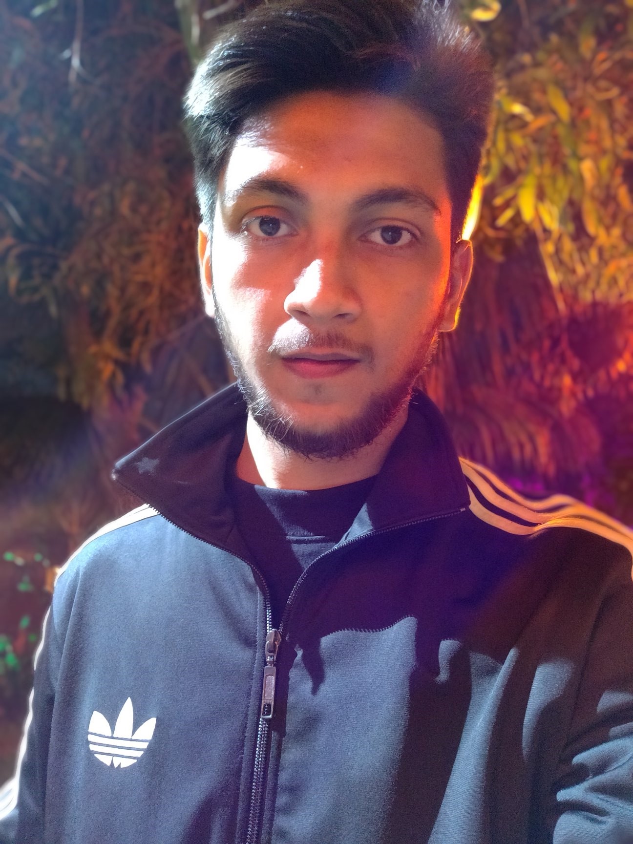 Responsive CV using Html & CSS